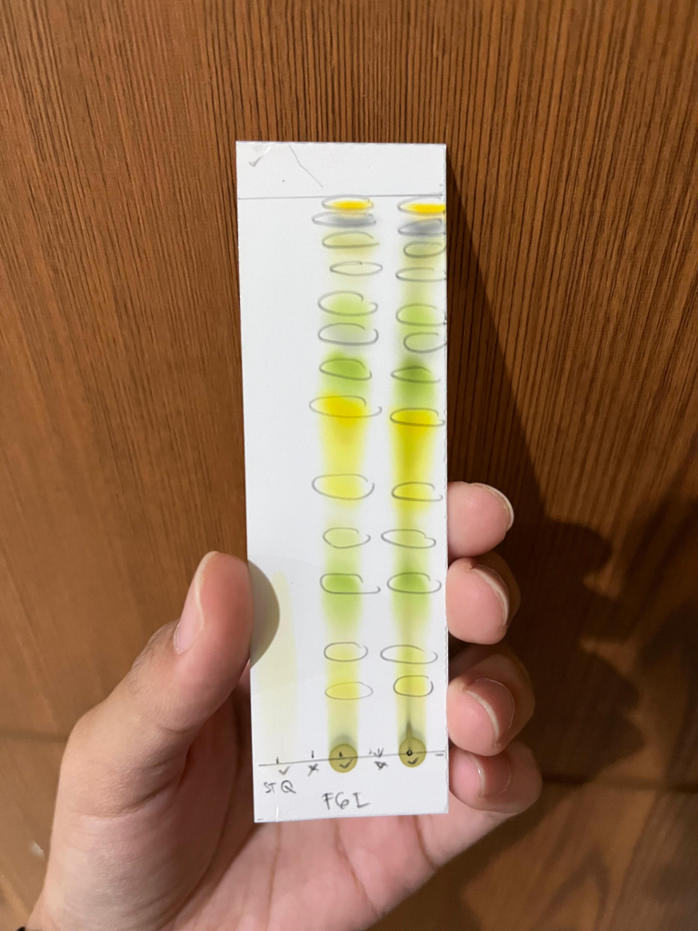 Pelatihan: Kromatografi Lapis Tipis (KLT) di Laboratorium Biologi UAD ...